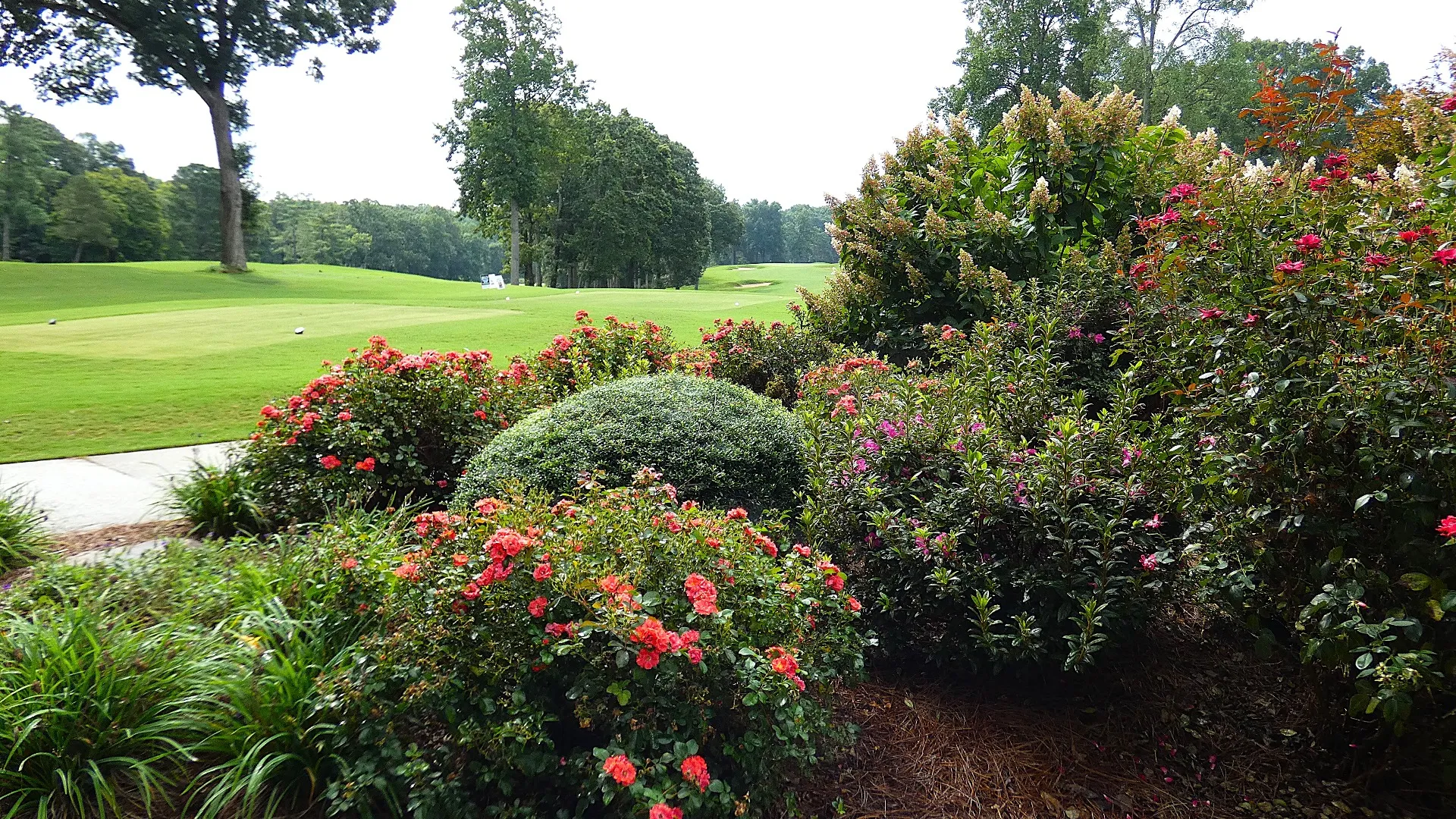 Asheboro, North Carolina Homes for Sale | The Villas at Pinewood